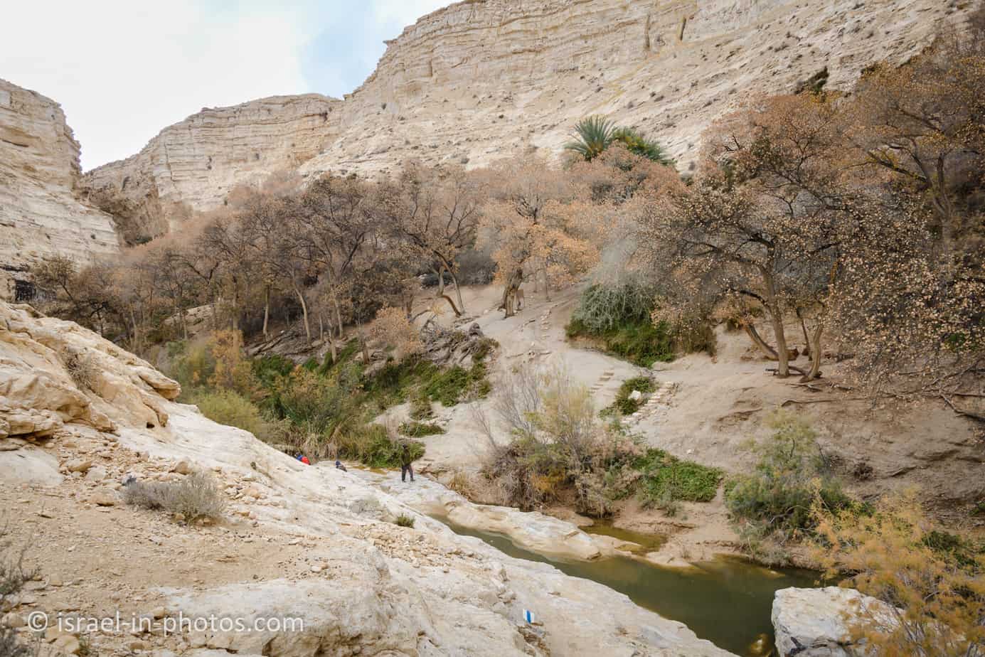Ein Avdat National Park - Visitors Guide with Map and Tracks
