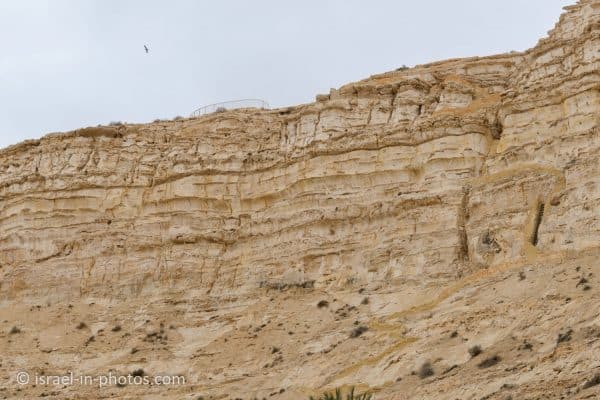 Ein Avdat National Park - Visitors Guide with Map and Tracks