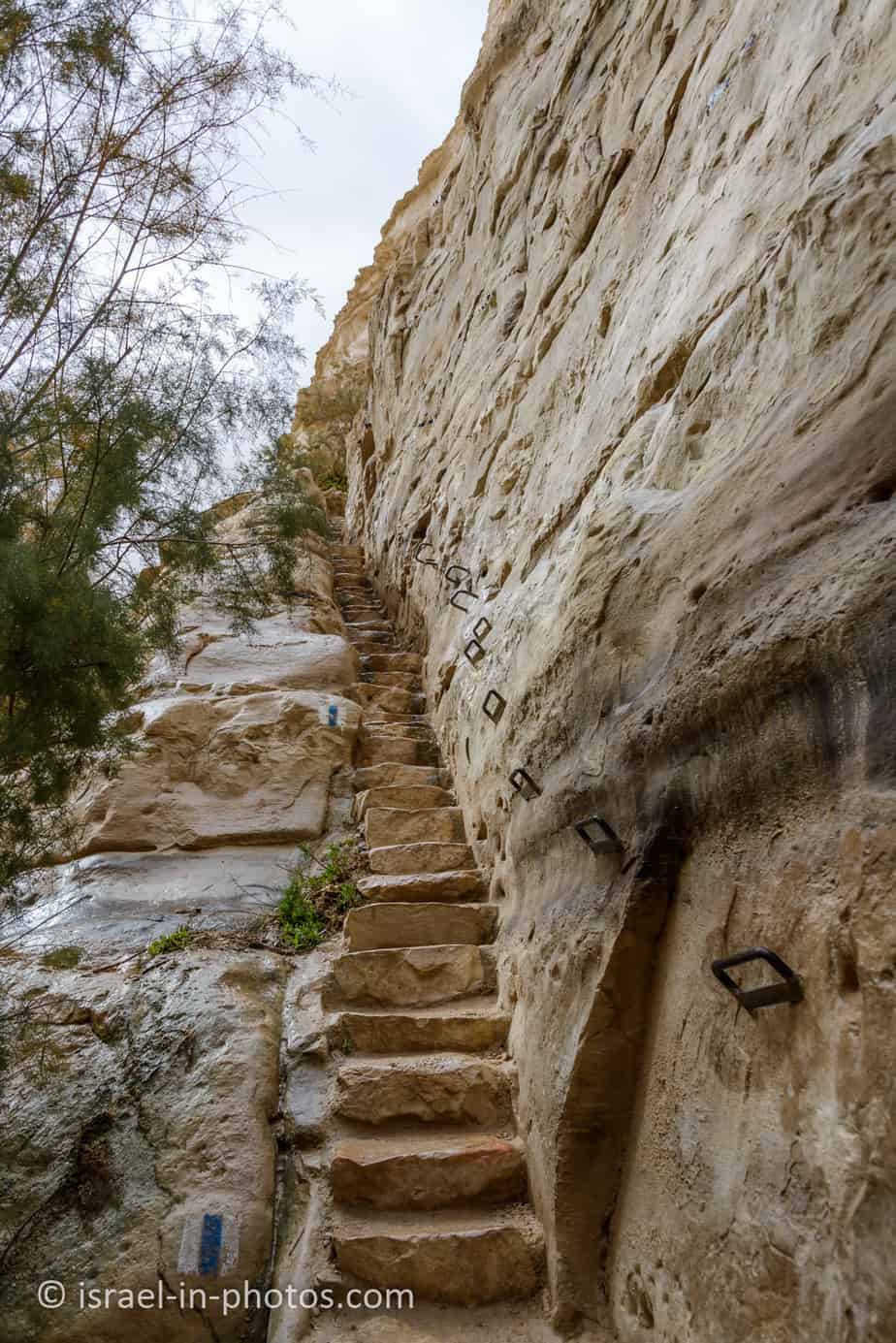 Ein Avdat National Park - Visitors Guide with Map and Tracks