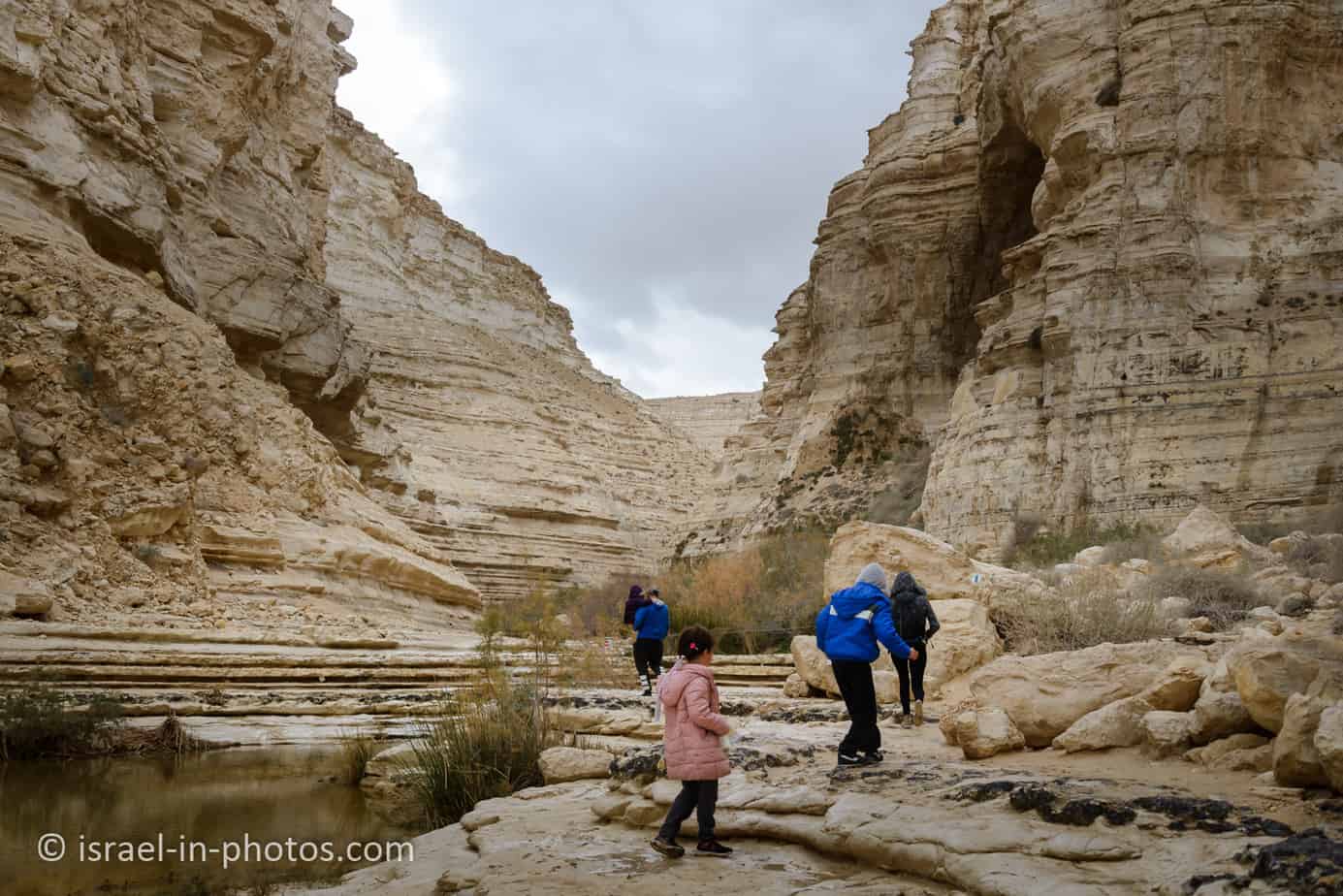 Ein Avdat National Park - Visitors Guide with Map and Tracks
