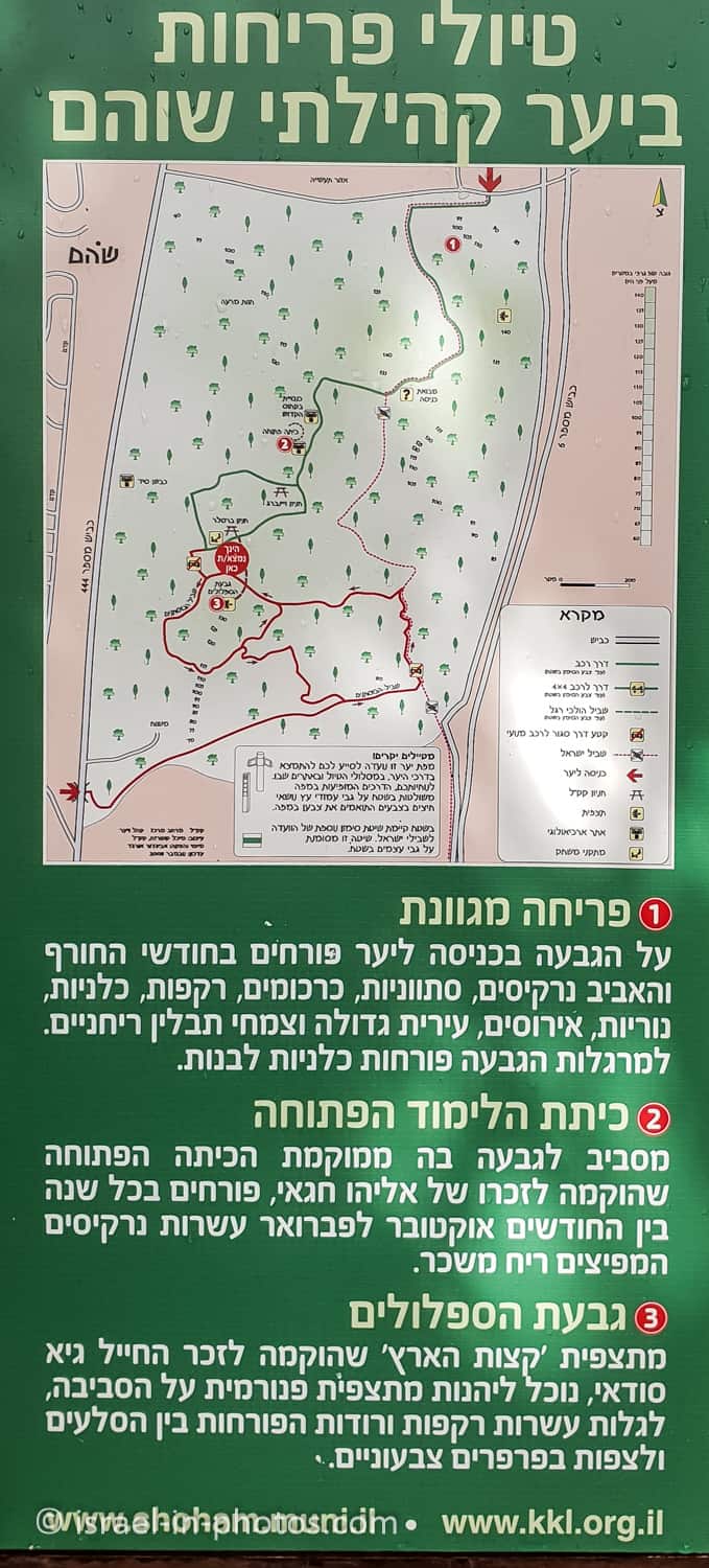 Shoham Forest Park - Nature with Trails and Antiquities