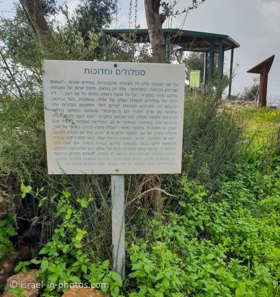 Shoham Forest Park - Nature with Trails and Antiquities