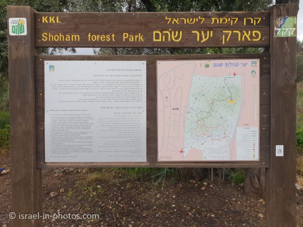 Shoham Forest Park - Nature with Trails and Antiquities