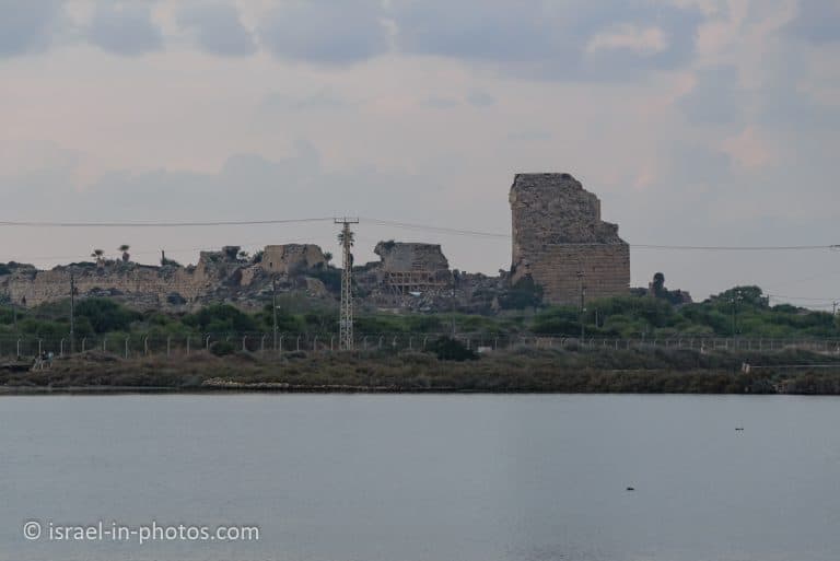 Flamingo Migration in Israel and a visit to Atlit - Israel in Photos