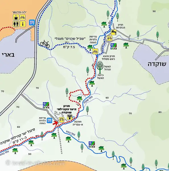 Shokeda Forest - Visitors Guide - Israel in Photos