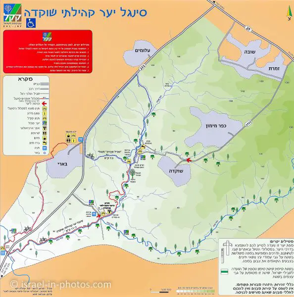 Shokeda Forest - Visitors Guide - Israel in Photos