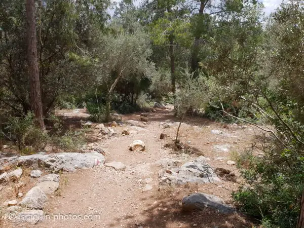 Wells and Pits Trail, Britannia Park – Visitors Guide