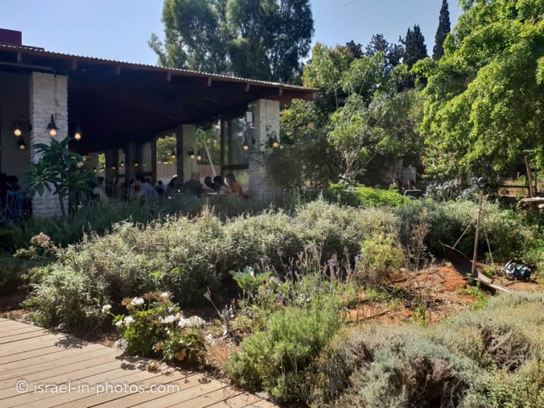 Nomi, Kfar Monash - Visitors Guide with Photos - Israel in Photos