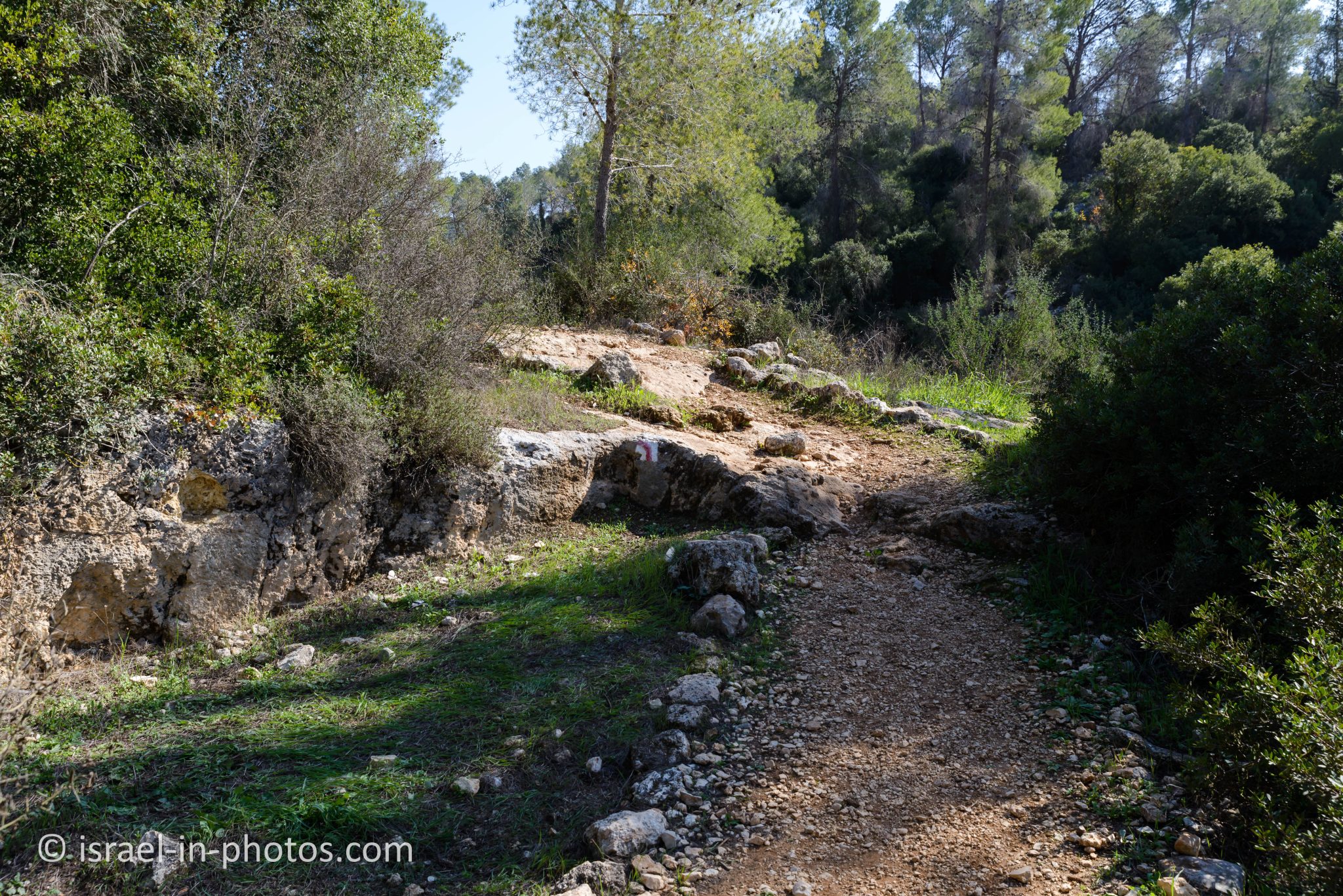 Caesar Trail and Khirbet Hanoot - Visitors Guide