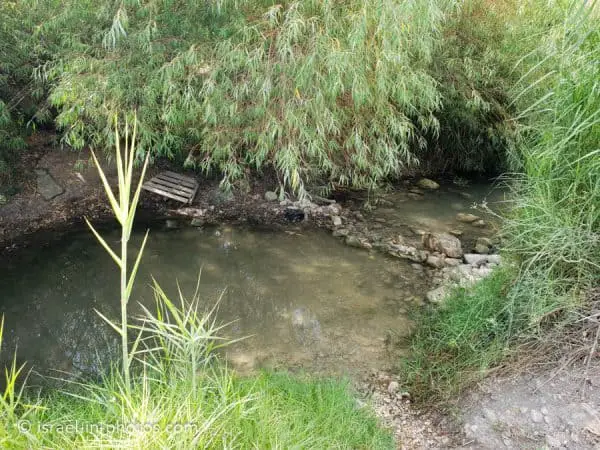 Ein Aviel - Spring near Binyamina - Visitors Guide - Israel in Photos