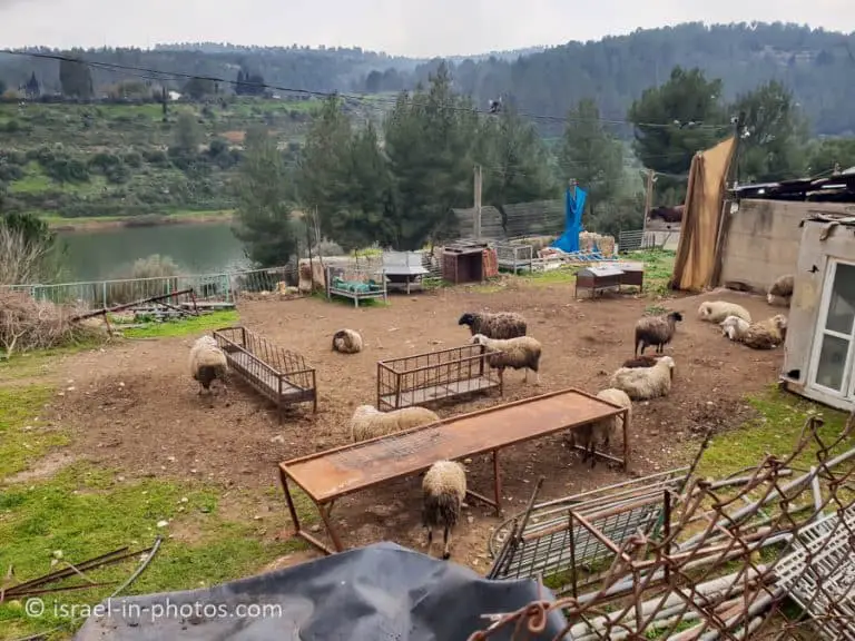 Beit Zayit Reservoir, Seasonal Lake by Jerusalem - Visitors Guide ...