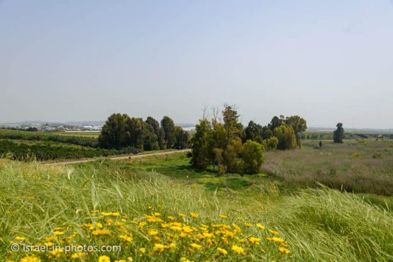 Gibton Springs Nature Reserve - Visitors Guide - Israel in Photos