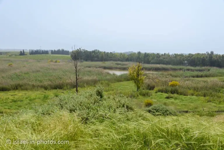 Gibton Springs Nature Reserve - Visitors Guide - Israel in Photos