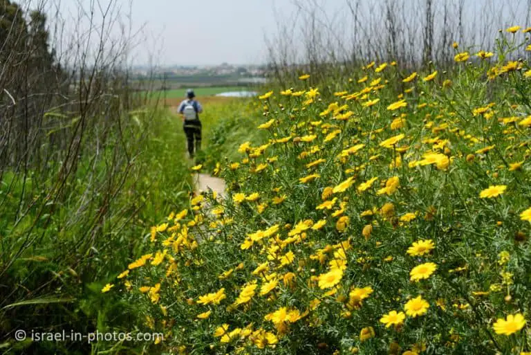 Gibton Springs Nature Reserve - Visitors Guide - Israel in Photos
