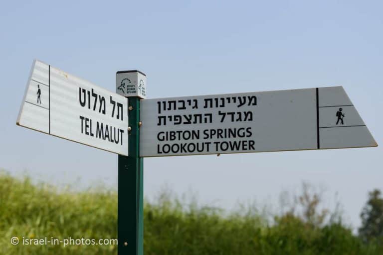 Gibton Springs Nature Reserve - Visitors Guide - Israel in Photos