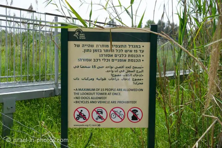 Gibton Springs Nature Reserve - Visitors Guide - Israel in Photos