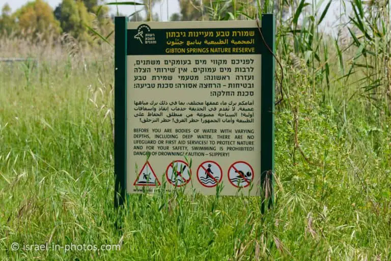 Gibton Springs Nature Reserve - Visitors Guide - Israel in Photos