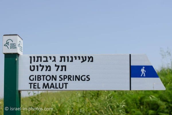 Gibton Springs Nature Reserve - Visitors Guide - Israel in Photos
