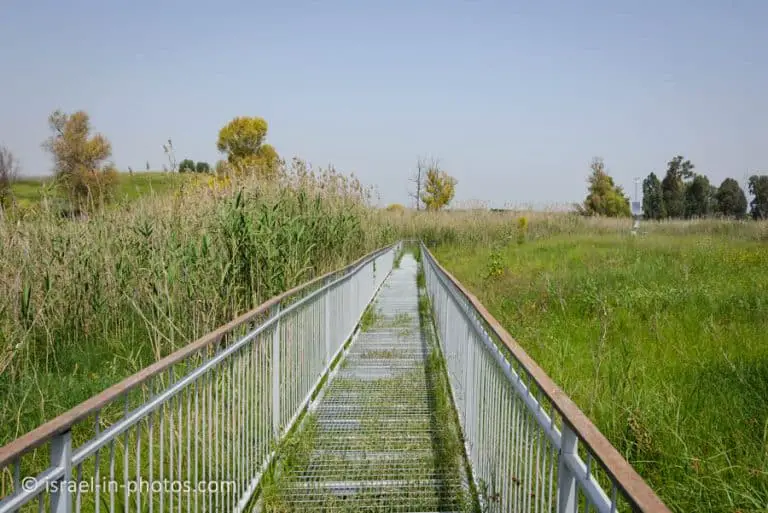 Gibton Springs Nature Reserve - Visitors Guide - Israel in Photos