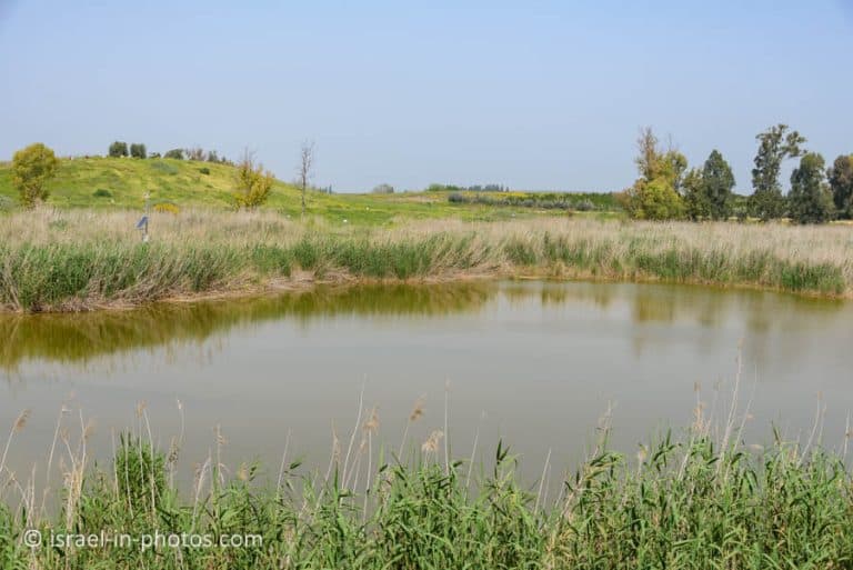 Gibton Springs Nature Reserve - Visitors Guide - Israel in Photos