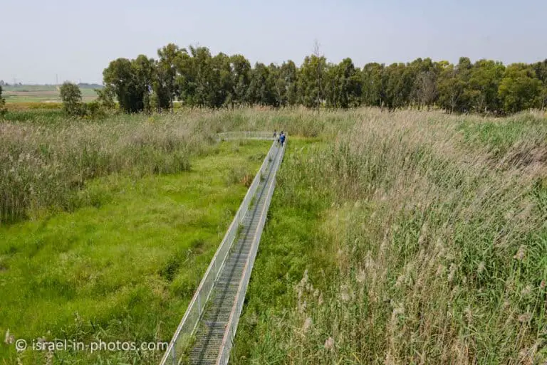 Gibton Springs Nature Reserve - Visitors Guide - Israel in Photos
