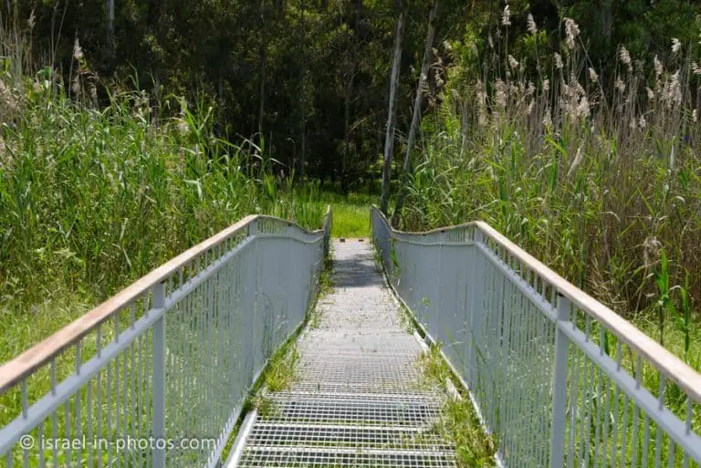 Gibton Springs Nature Reserve - Visitors Guide - Israel in Photos