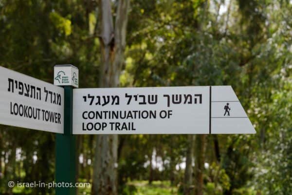 Gibton Springs Nature Reserve - Visitors Guide - Israel in Photos