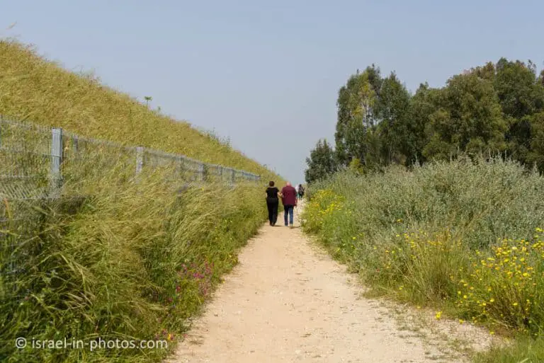 Gibton Springs Nature Reserve - Visitors Guide - Israel in Photos