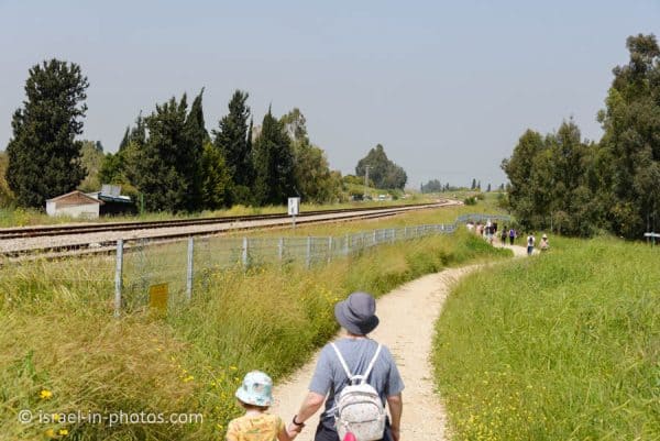 Gibton Springs Nature Reserve - Visitors Guide - Israel in Photos