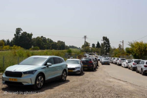 Gibton Springs Nature Reserve - Visitors Guide - Israel in Photos