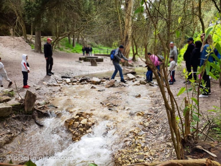 Nahal Gahar - Easy Family Hike near Yokneam - Visitors Guide - Israel ...