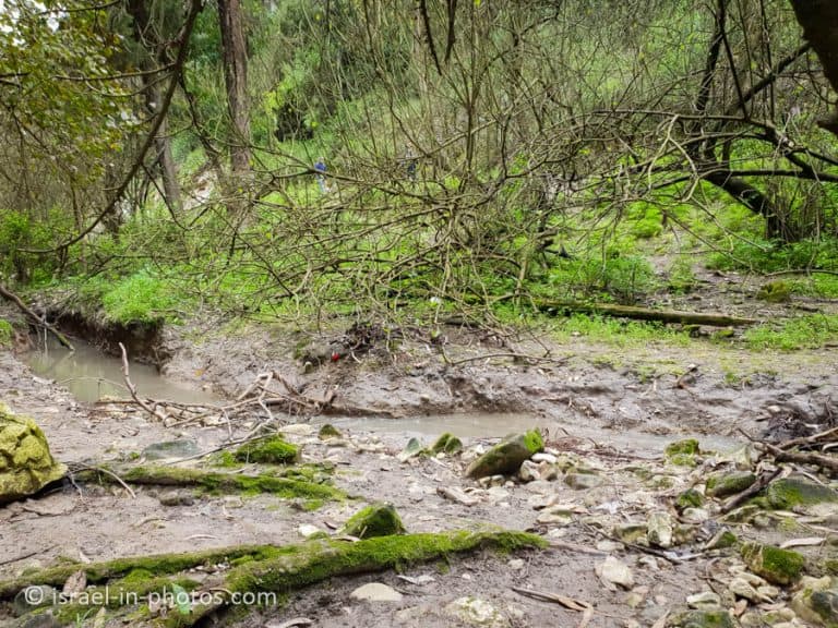 Nahal Gahar - Easy Family Hike near Yokneam - Visitors Guide - Israel ...