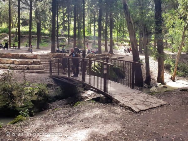 Nahal Gahar - Easy Family Hike near Yokneam - Visitors Guide - Israel ...