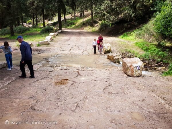 Nahal Gahar - Easy Family Hike near Yokneam - Visitors Guide - Israel ...