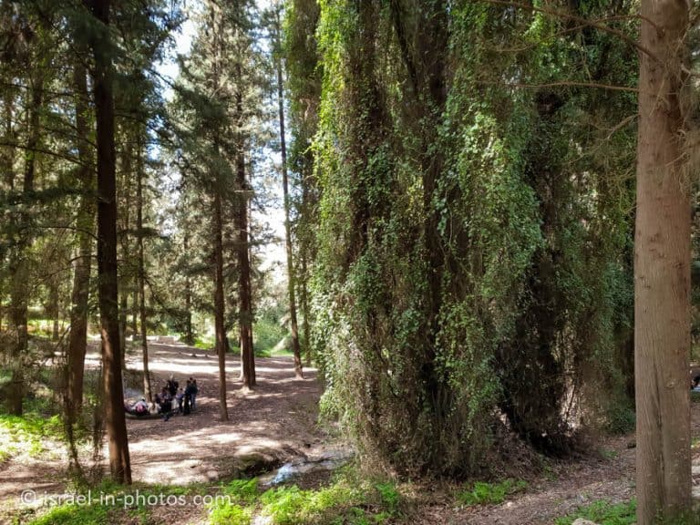 Nahal Gahar - Easy Family Hike near Yokneam - Visitors Guide - Israel ...