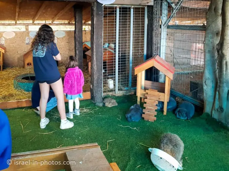 The Rabbit Village, Bethlehem of Galilee - Visitors Guide - Israel in ...