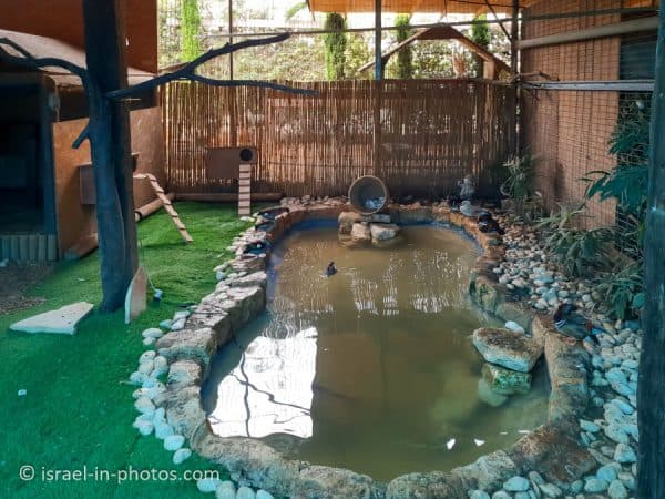 The Rabbit Village, Bethlehem of Galilee - Visitors Guide - Israel in ...