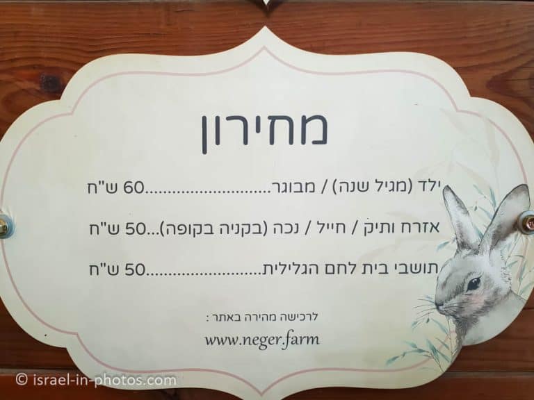 The Rabbit Village, Bethlehem of Galilee - Visitors Guide - Israel in ...