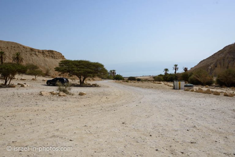 Wadi Arugot - Ein Gedi Nature Reserve - Visitors Guide - Israel in Photos