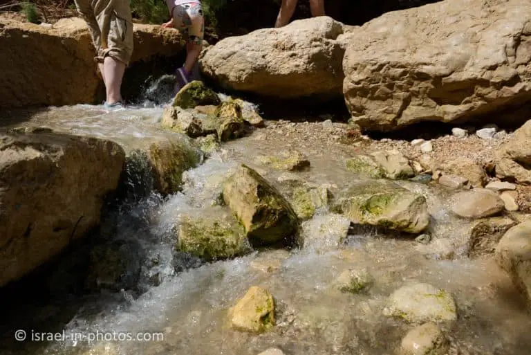 Wadi Bokek - Water Trail by the Dead Sea - Visitors Guide - Israel in ...