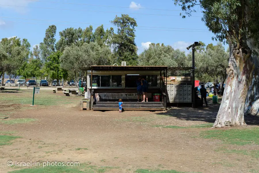 Harod Spring National Park - Visitors Guide - Israel in Photos