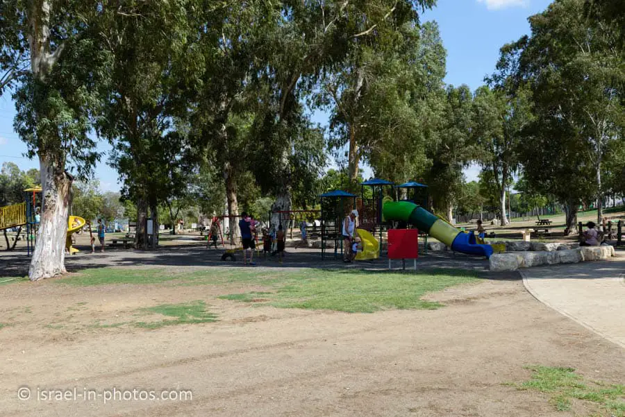 Harod Spring National Park - Visitors Guide - Israel in Photos