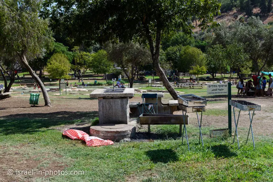 Harod Spring National Park - Visitors Guide - Israel in Photos