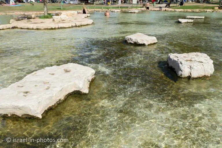 Harod Spring National Park - Visitors Guide - Israel in Photos