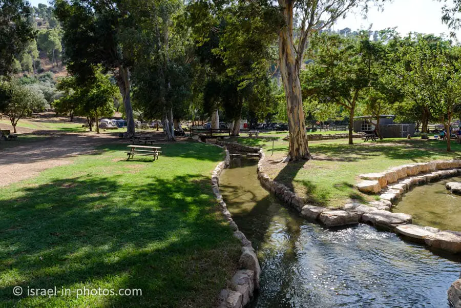 Harod Spring National Park - Visitors Guide - Israel in Photos