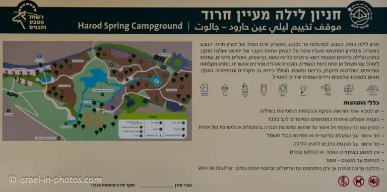 Harod Spring National Park - Visitors Guide - Israel in Photos
