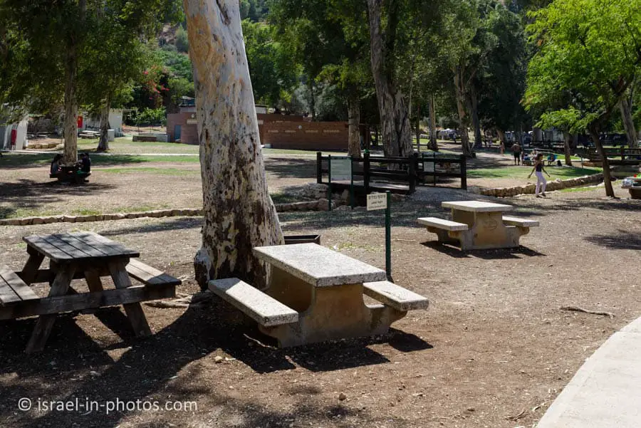 Harod Spring National Park - Visitors Guide - Israel in Photos