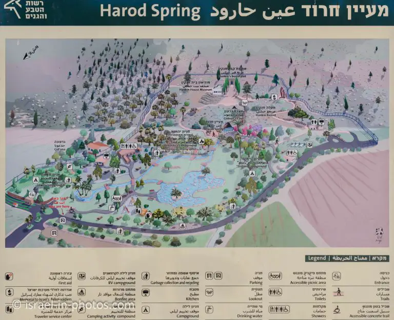 Harod Spring National Park - Visitors Guide - Israel in Photos