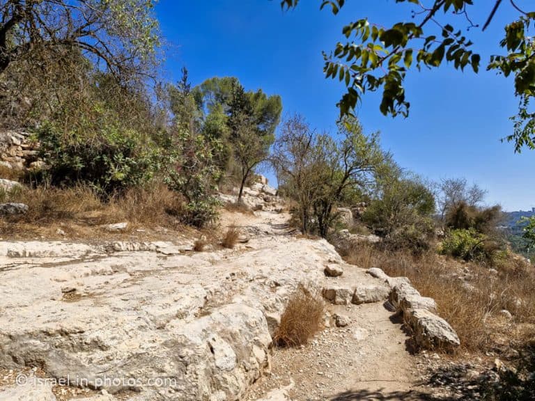 Sataf - Hiking Trails near Jerusalem - Visitors Guide - Israel in Photos