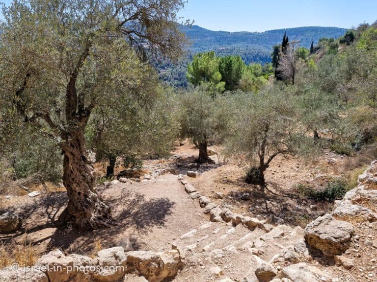 Sataf - Hiking Trails near Jerusalem - Visitors Guide - Israel in Photos